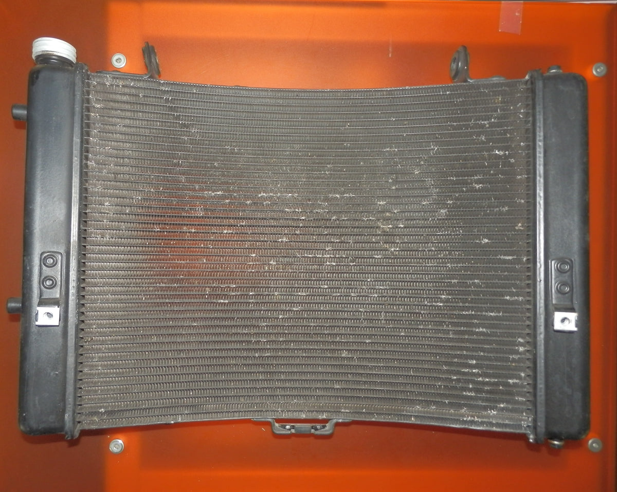 RADIATORE KTM 1290 SUPER ADVENTURE 16/18 USATO – Lovato's Bike - Shop